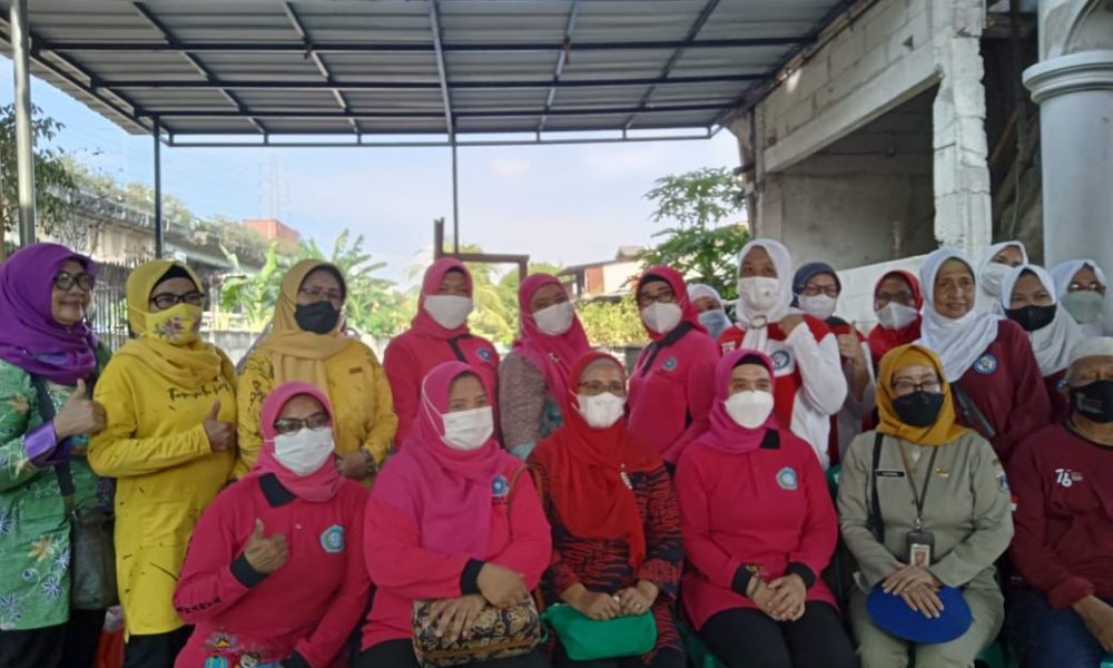 Pengembangan Urban Farming di Kolong Tol Warakas – HarianSentana.com