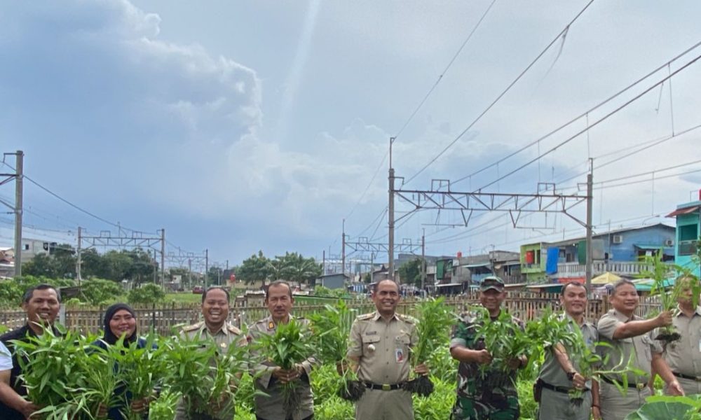 Warga Kampung Bahari Panen 50 Kilogram Kangkung – HarianSentana.com