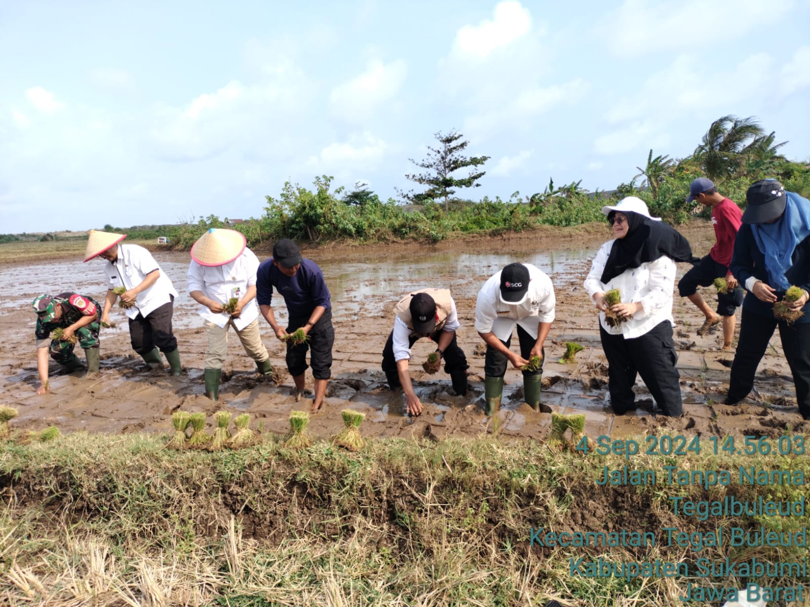 Kementan Minta Petani Sukabumi Perkuat Potensi PAT Padi Gogo ...